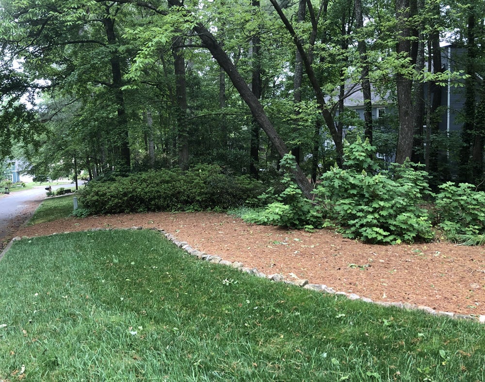 How To Lay Sod Around Trees Sod Laying Tips